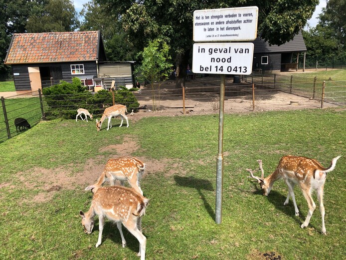 Dierenparkje versterkt saamhorigheid in Veghel-Zuid: 'Samen werken en ...