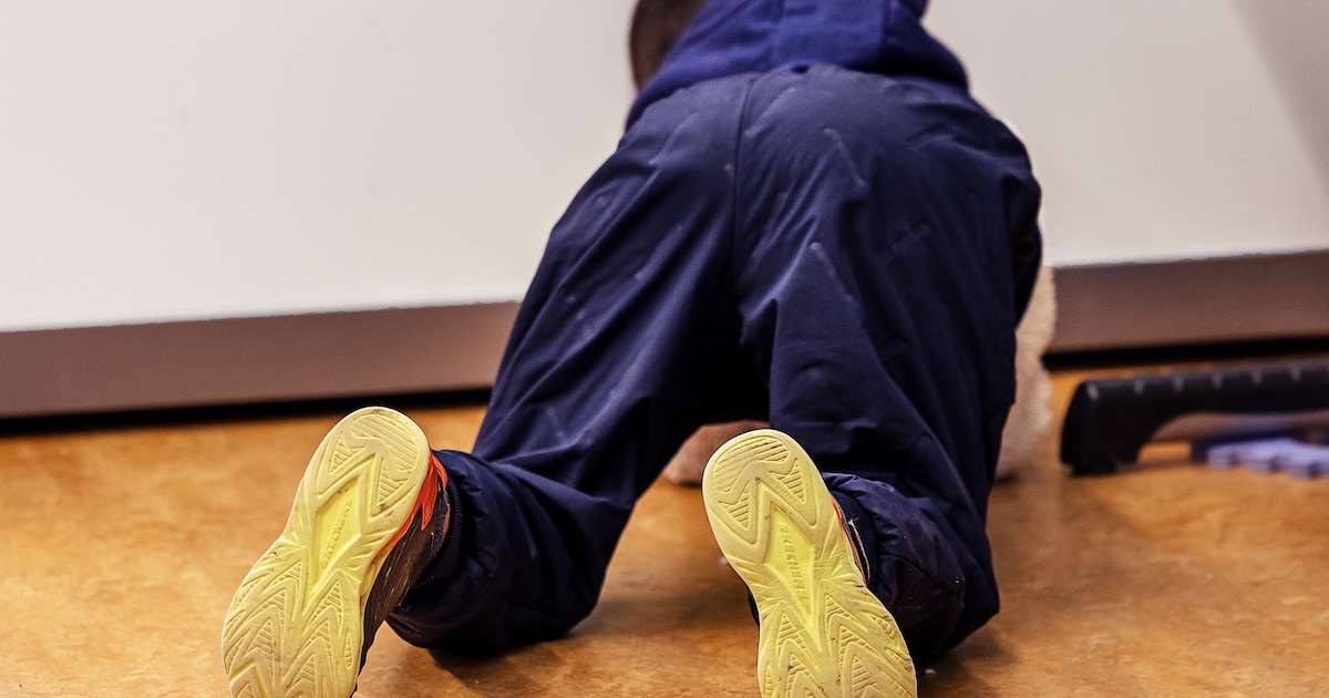 Dertien Brabantse bedrijven failliet, elf kinderen met autisme houden ...