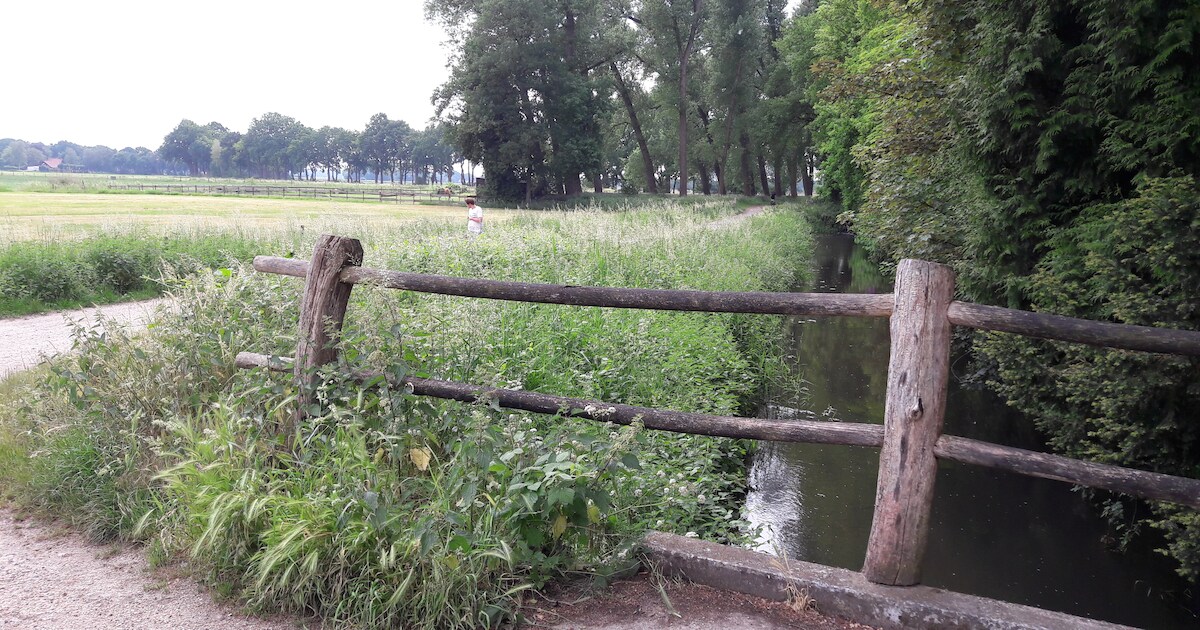 Bezwaren Leijoever Riel ‘gemotiveerd weerlegd’. Wethouder: ‘Geen ...