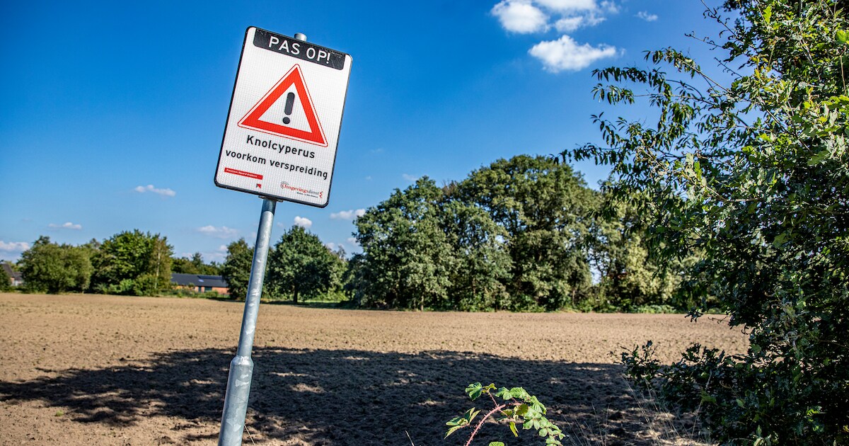 Provincie leverde Boekelse boer vervuilde grond, hoe zit dat? | Boekel ...