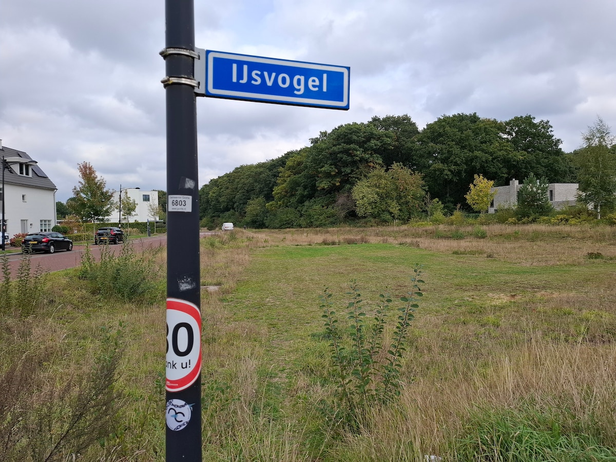 Wat doe je met een wadi zolang het droog staat? ‘Trapveldje’, tipt ...