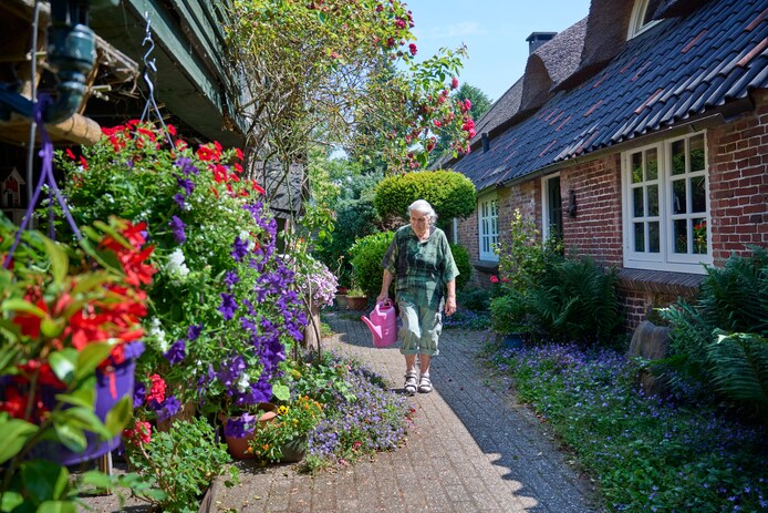 Harry (78) staat 10 meter hoog takken te zagen in zijn rimboetuin ...