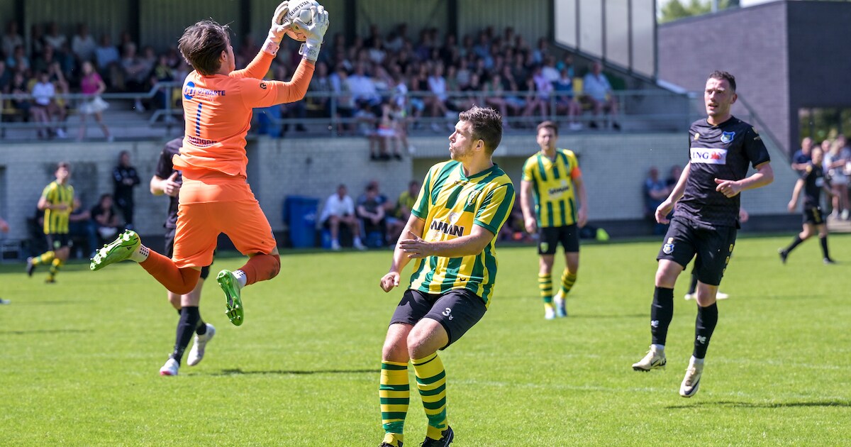 Nemelaer krijgt flink pak slaag van Dongen en gaat definitief de ...