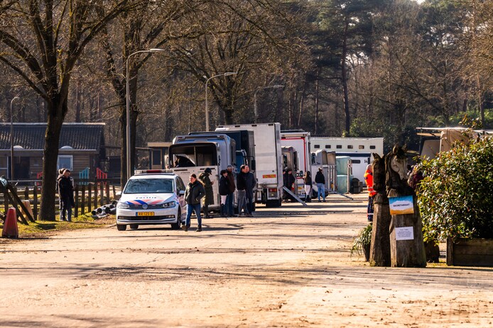 Ruiter valt van paard bij manege in Geldrop, traumahelikopter ter ...