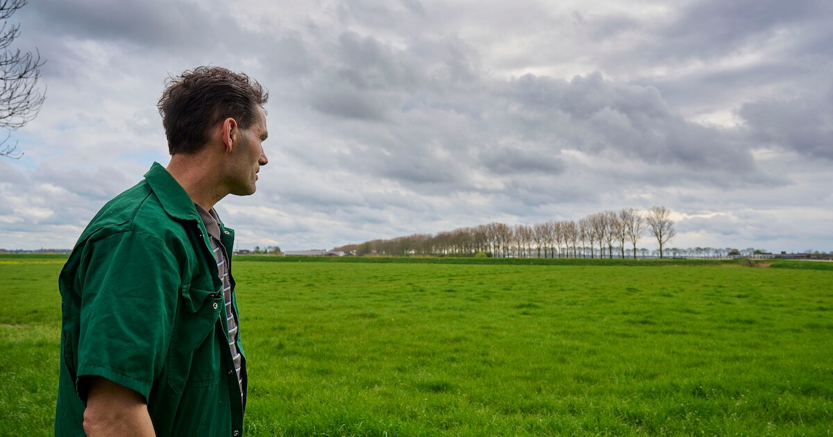 Deze boer vecht tegen windmolens in polder: ‘Voedselveiligheid in ...
