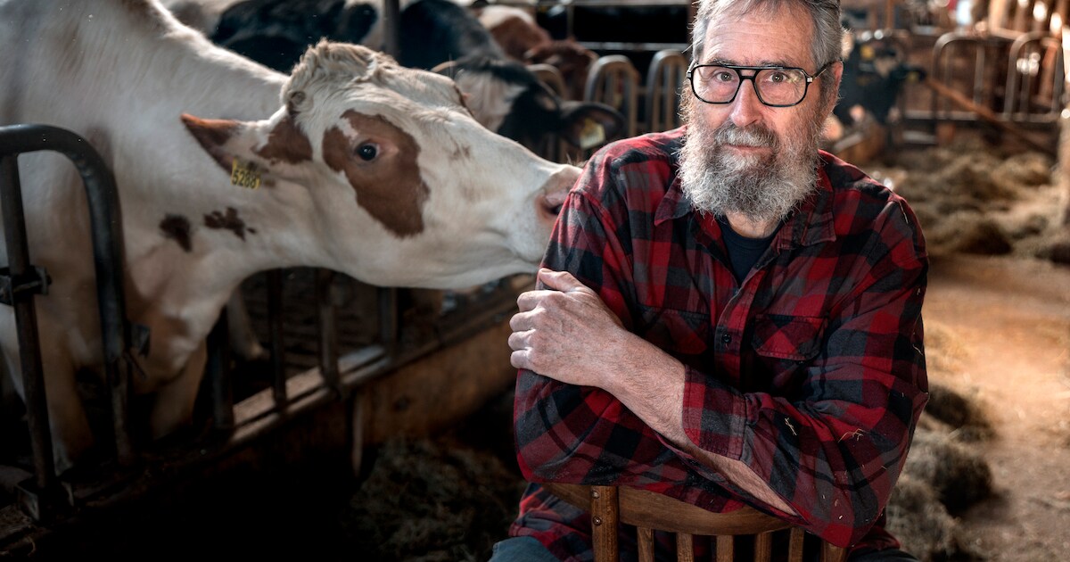 Laatste boodschap van boer Peter (66) uit Schijndel: ‘Mijn hart kan hogere voedsel­prij­zen niet ...