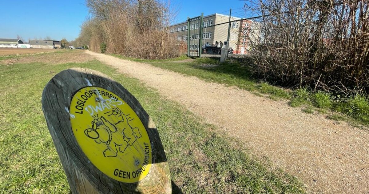 Fietsingang Cambium verhuist naar achterkant | Regio | BD.nl
