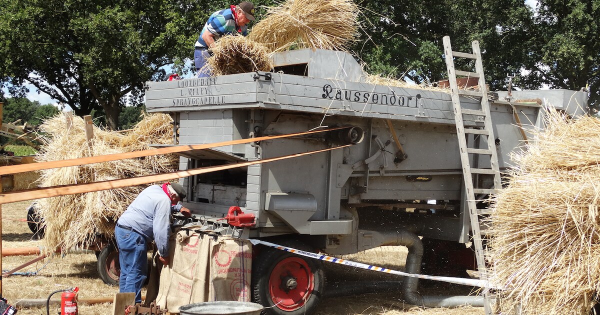 Boerendag Alphen: Brabantse nostalgie op zijn best | Alphen-Chaam | BD.nl