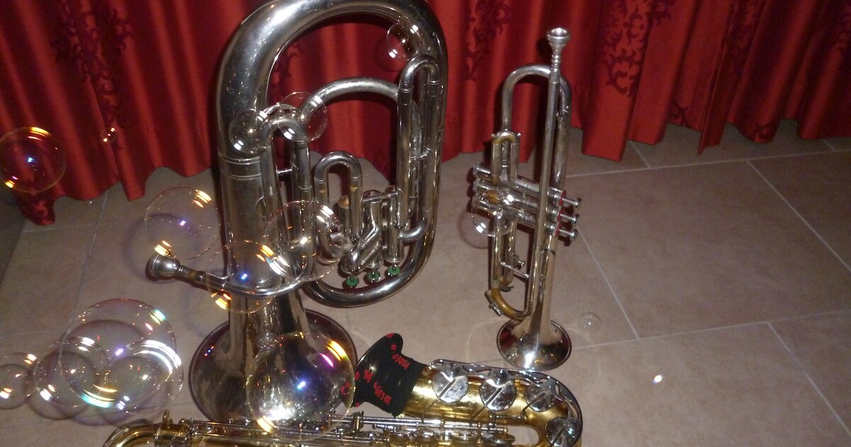 Muziekkapel De Bellebloazers viert 25-jarig jubileum | Nieuws | BD.nl