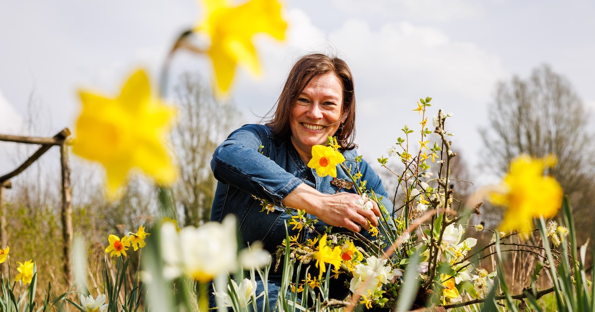 Zonnebloemen in de winter? Doe Katja maar ‘slow flowers’, zoals ...