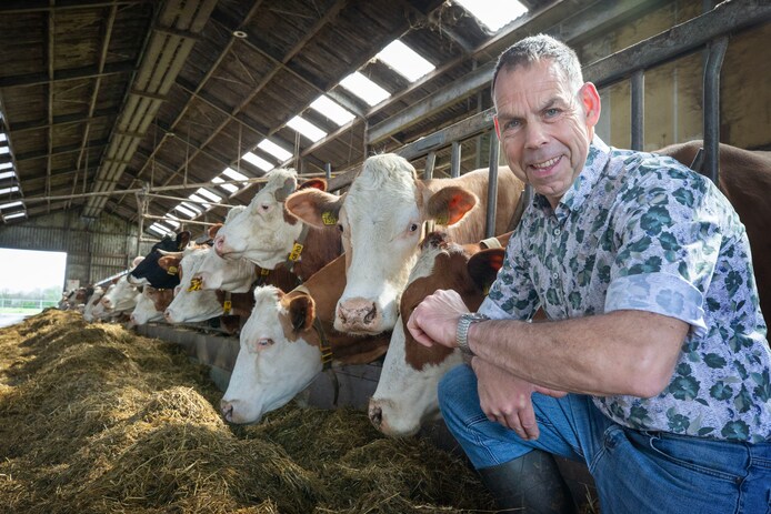 Zo sluist bioboer Jack zijn 80 koeien die dekselse zomertijd in: ‘Ze ...