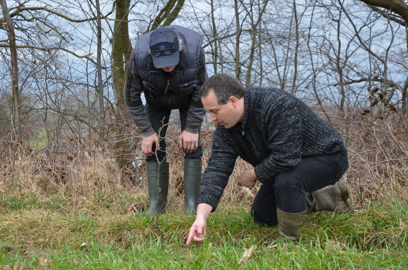 Wolf Billy: wat spookte hij uit nadat hij Heusden verliet? | Foto | bd.nl