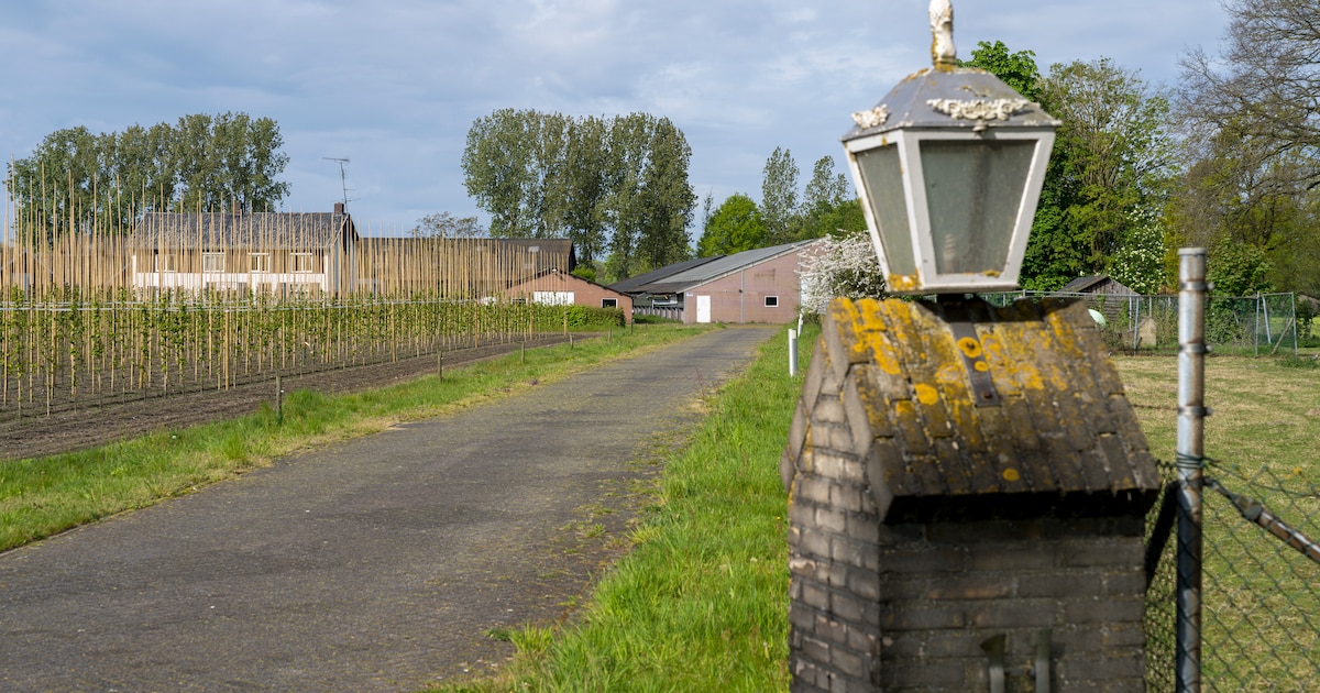 Oppositie Boxtel eist stop op plannen voor huisvesting arbeidsmigranten: ‘Niet doorhobbelen ...