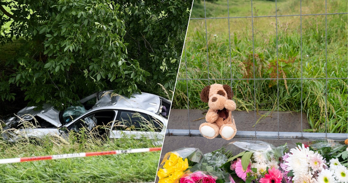 Bestuurder (19) die groep schoolkinderen aanreed wordt verdacht van ...