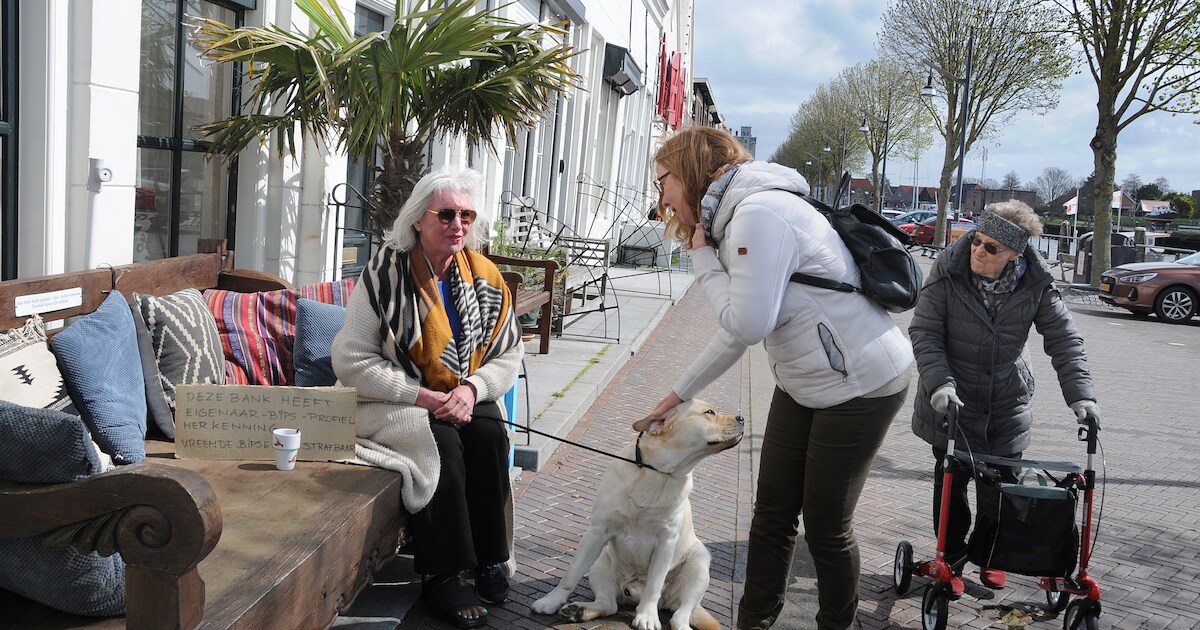 Toeristen ploffen ongevraagd neer op bankjes voor huizen: ‘Hele ...