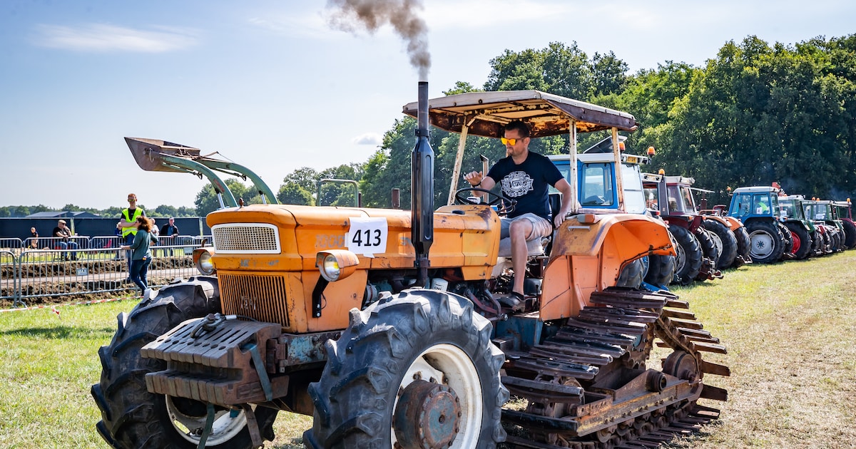 ‘Gepensioneerde’ trekkers weer van stal voor Oldtimer Keientrek Gastel: ‘Een tractor is gemaakt ...