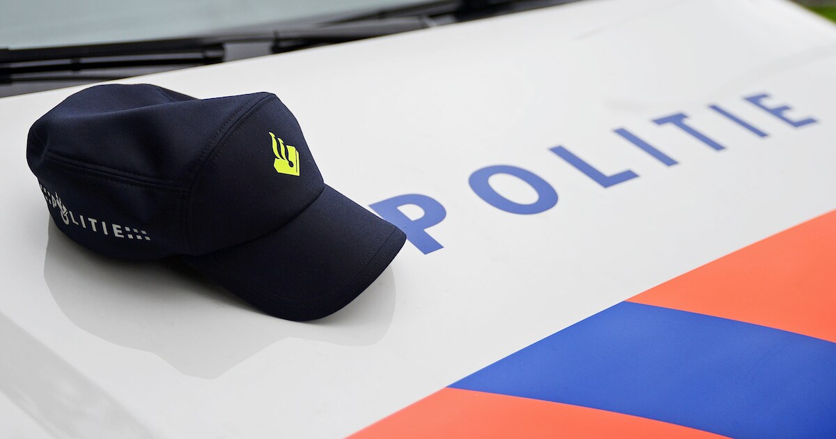 Weer loslopende hond op A50, nu bij Veghel | Veghel | BD.nl