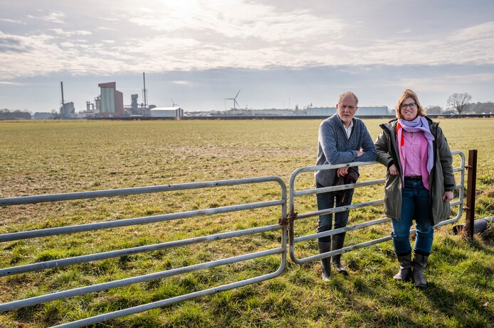 Natuur wint terrein naast Coca-Colafabriek: ‘Dit is de logische ...
