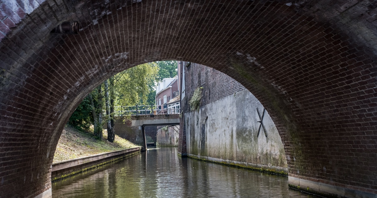 Straatro­vers dwingen slachtof­fer (18) in Binnendie­ze te springen ...