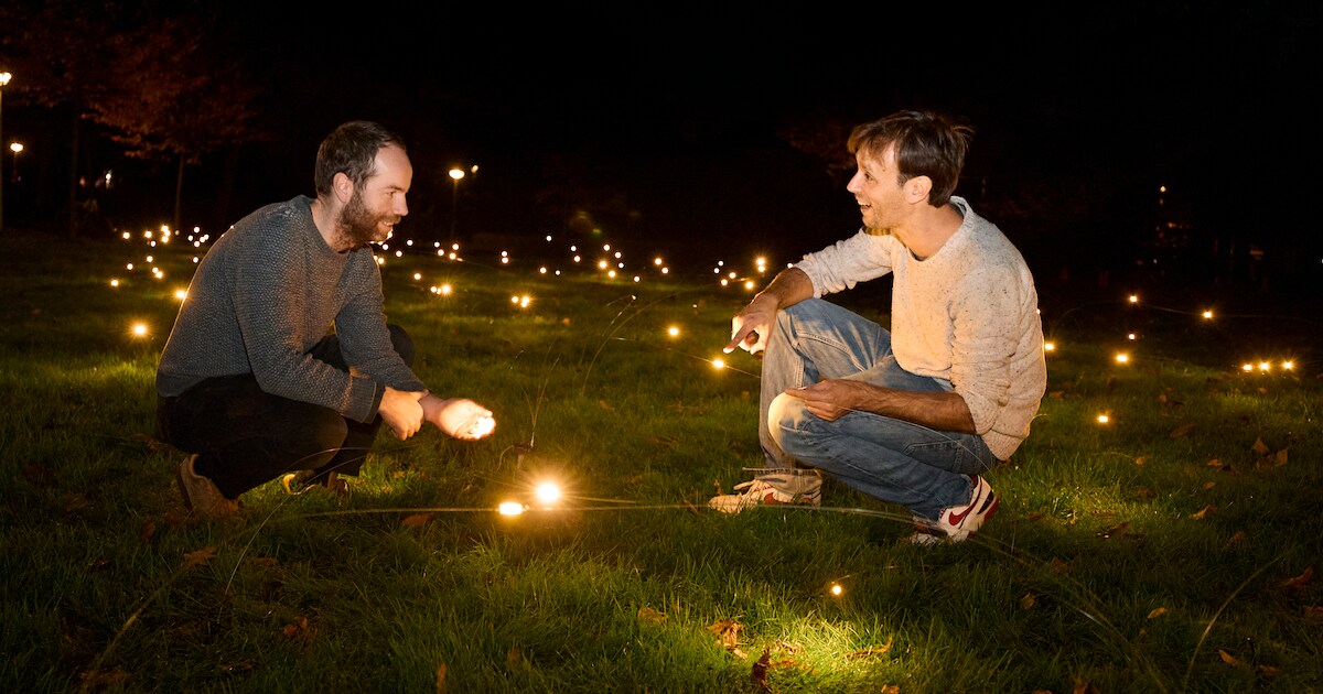 Achter de schermen bij Glow-kunstenaars: ‘Zelfs de konijnen kwamen ...