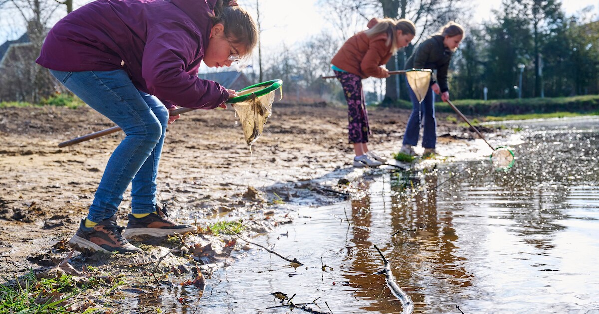 Nieuwe poeltjes bij natuurcentrum De Maashorst klaar voor kinderen ...