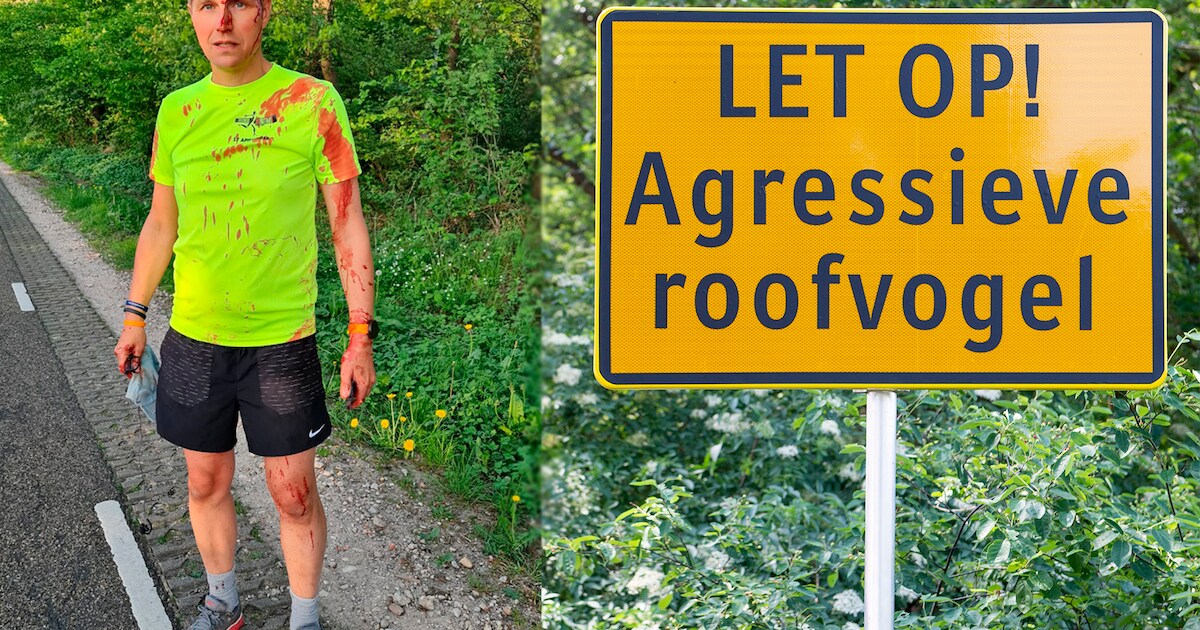 Maurice (47) voelt tik en veel bloed na hardloop­rond­je: ‘Buizerd viel ...