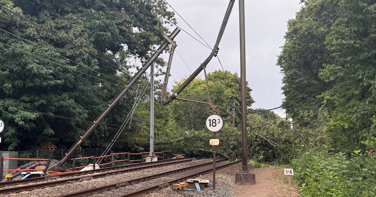 Boom op het spoor in Vught zorgt voor veel schade: ‘Waarschijnlijk pas ...