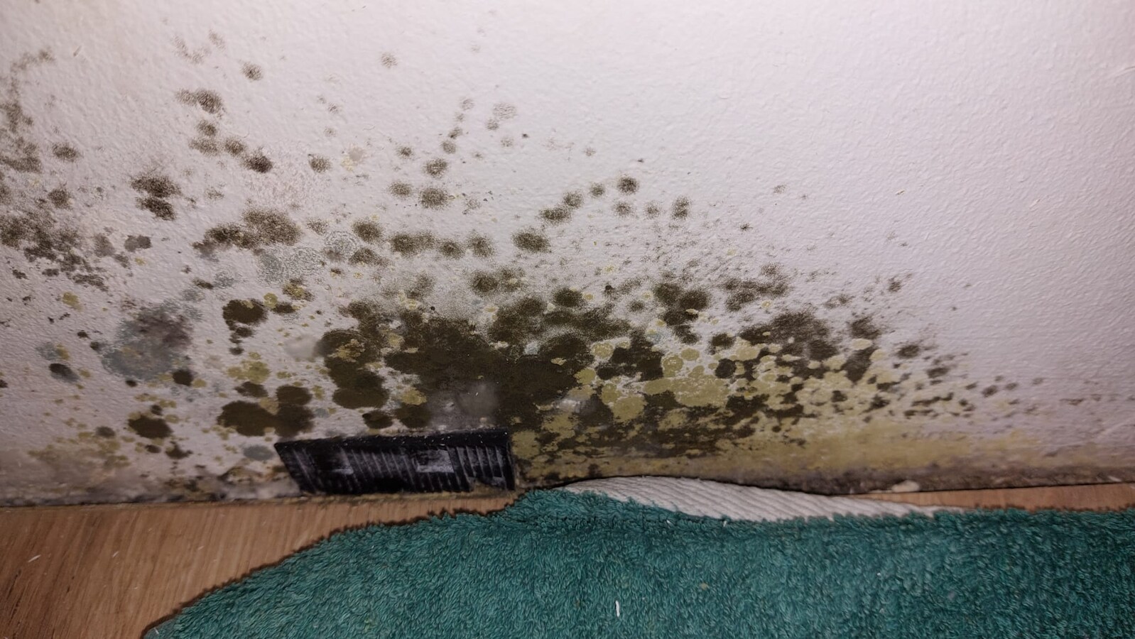 Zwarte schimmel in de slaapkamer en overstromende wc’s: nieuwbouw blijkt vochtige nachtmerrie ...