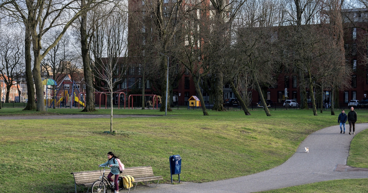 Den Bosch mag drie omstreden woontorens in Prins Hendrikpark bouwen ...