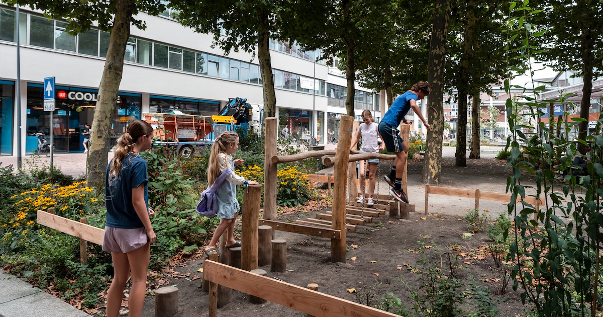Op deze speelplek in Den Bosch kunnen (bijna) alle kinderen spelen ...