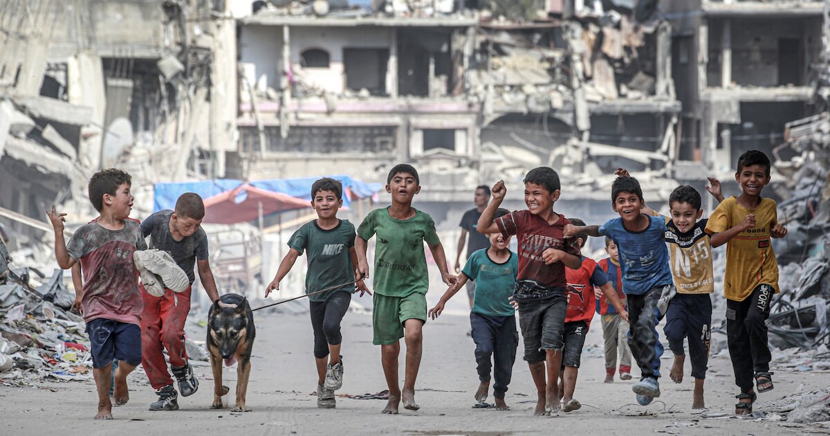 Waarom deze foto langer in Overloon blijft dan Erik van den Dungen zou willen | Brabant | bd.nl