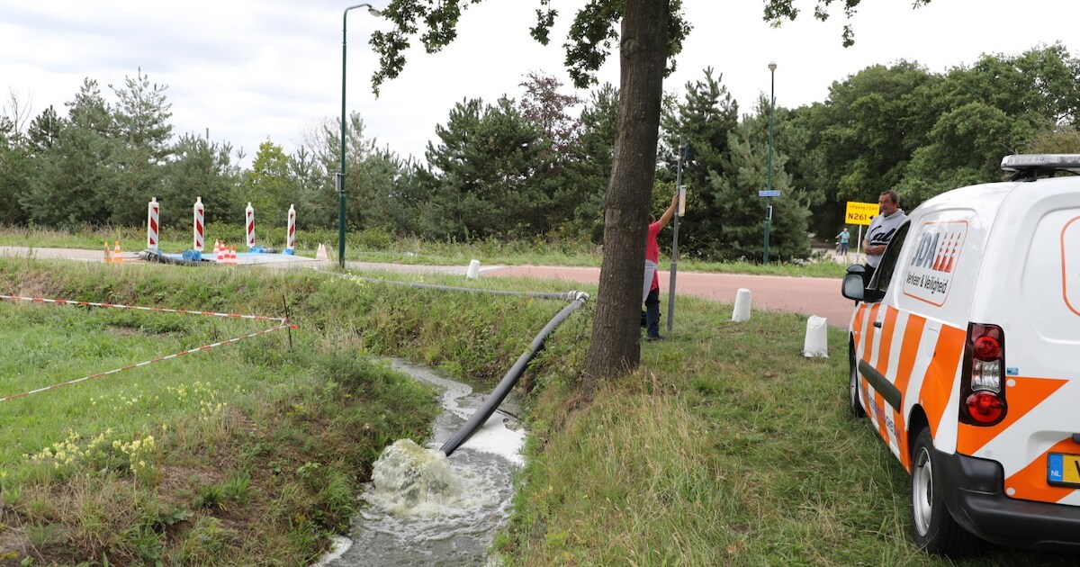 Aquanura-vijver Efteling wordt leeggepompt, blauwalg de boosdoener ...