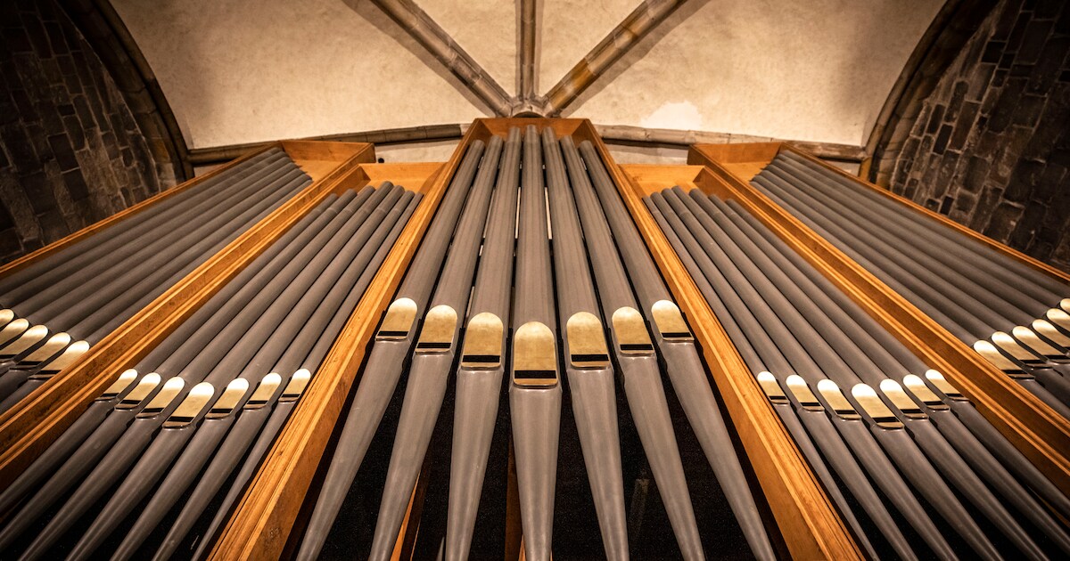 Excursie naar kerkorgels | Altena | BD.nl