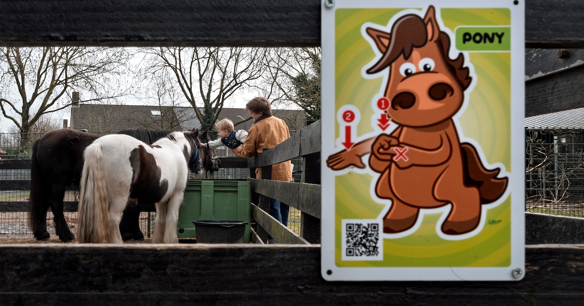 Kinderboerderij in Boxtel toegankelijker voor dove kinderen dankzij ...