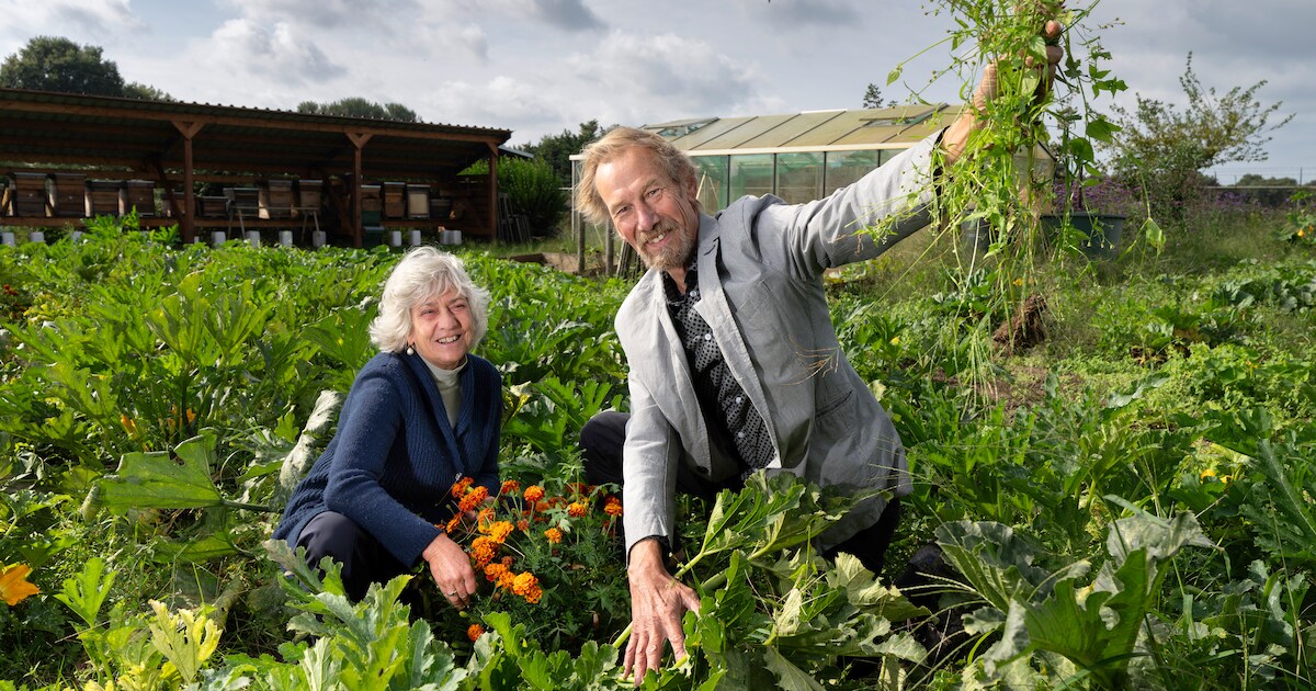 Al tien jaar verse groente en fruit voor voedselbank: Bossche ...
