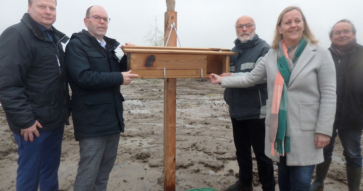 Extra ruimte voor bedrijven op De Rietdijk. Maar niet alleen asfalt en ...