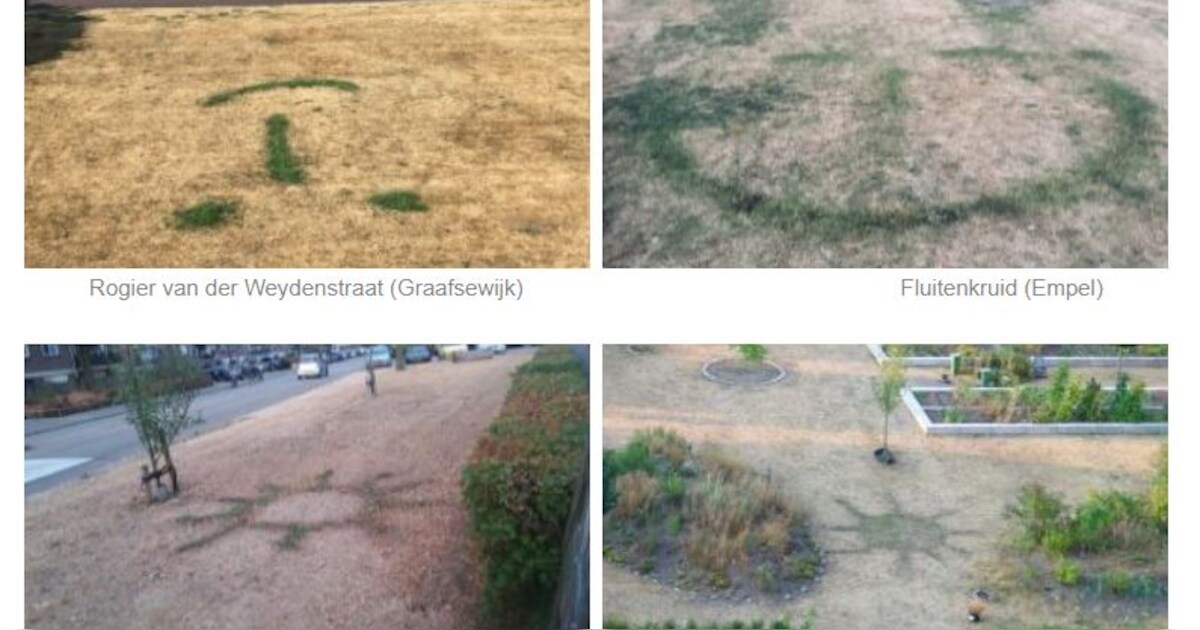 Was getekend...in het gras | Regio | BD.nl