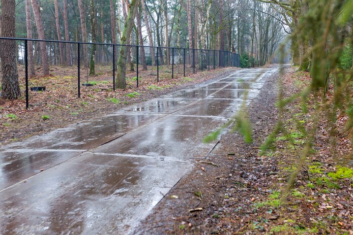 Bemiddeling in zaak Jan de Rooy mislukt; werkgroep wil nu uitspraak ...