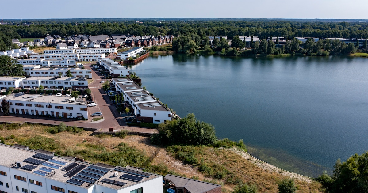 Rust en rumoer strijden om voorrang aan de Costa del Gôol: wildzwemmers ...