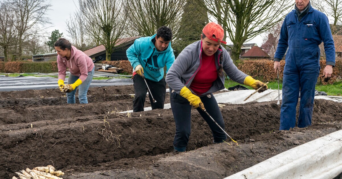 Botsende levensstijlen en herrie zorgen voor spanningen in Peel-wijken ...