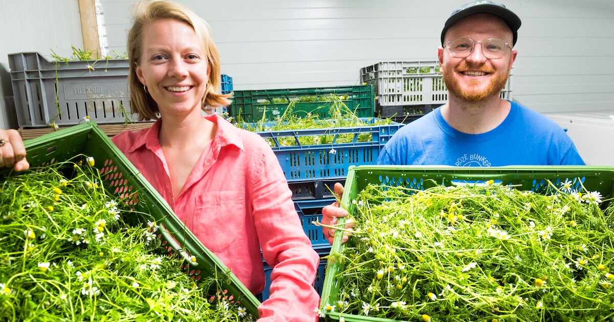 Bijzondere voedselfabriek zonder baas: op deze plek in Culemborg werkt ...