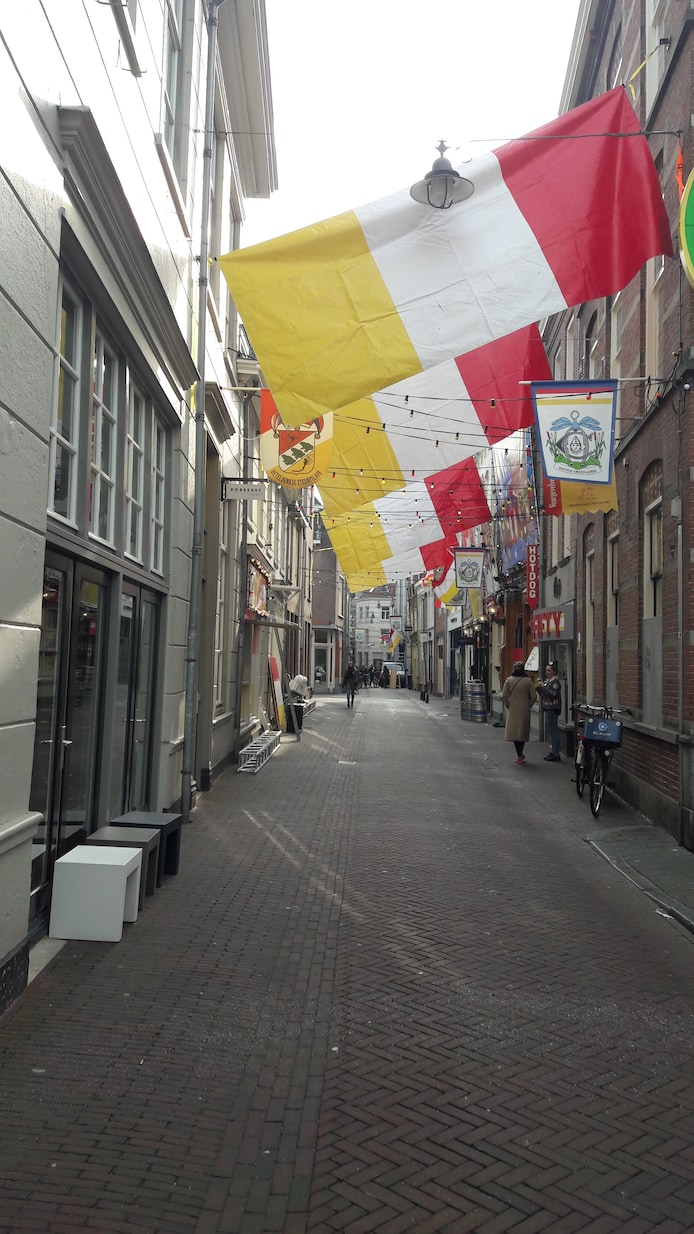 Bossche Snellestraat met extra maatregelen klaar voor carnaval | Den ...