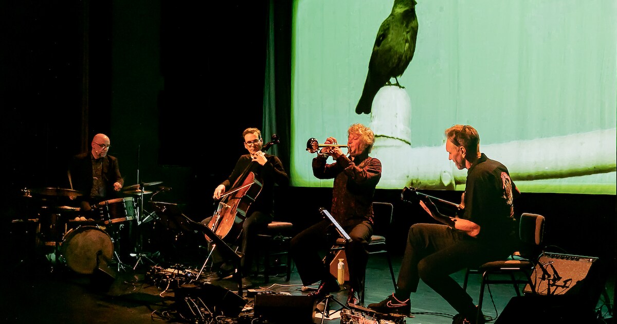 Zo mooi klinkt een nestje baby-egeltjes als trompettist Eric Vloeimans ...
