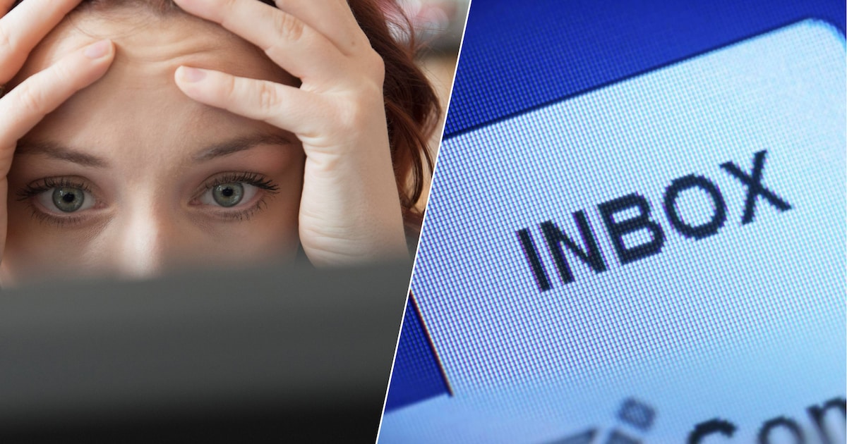 Nederlander gaat viraal nadat hij aan zijn Amerikaanse baas moet ...