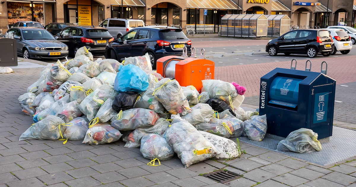 Osse boa’s snuffelen door gedumpt afval en betrappen zo 35 inwoners ...