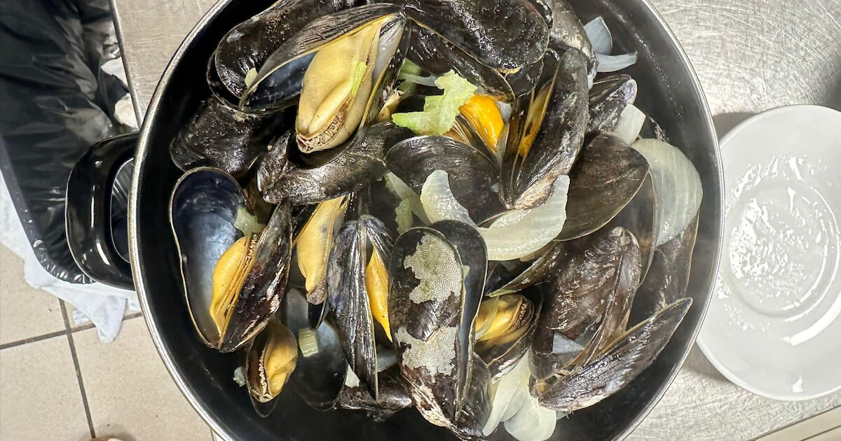Mosselen rapen, schoonmaken en koken. Pannen vol | Breda | BD.nl