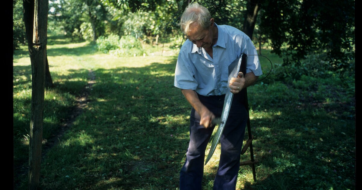 Fotoboek ‘Boer in ruste’ ode aan eenvoudig boerenleven: ‘We zijn niet ...