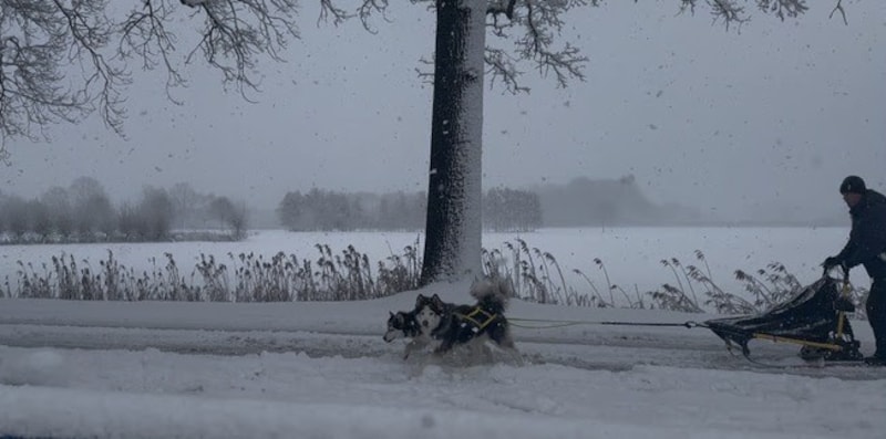 LIVE Sneeuw in Brabant | CBR stelt praktijkexamens voor motor en ...