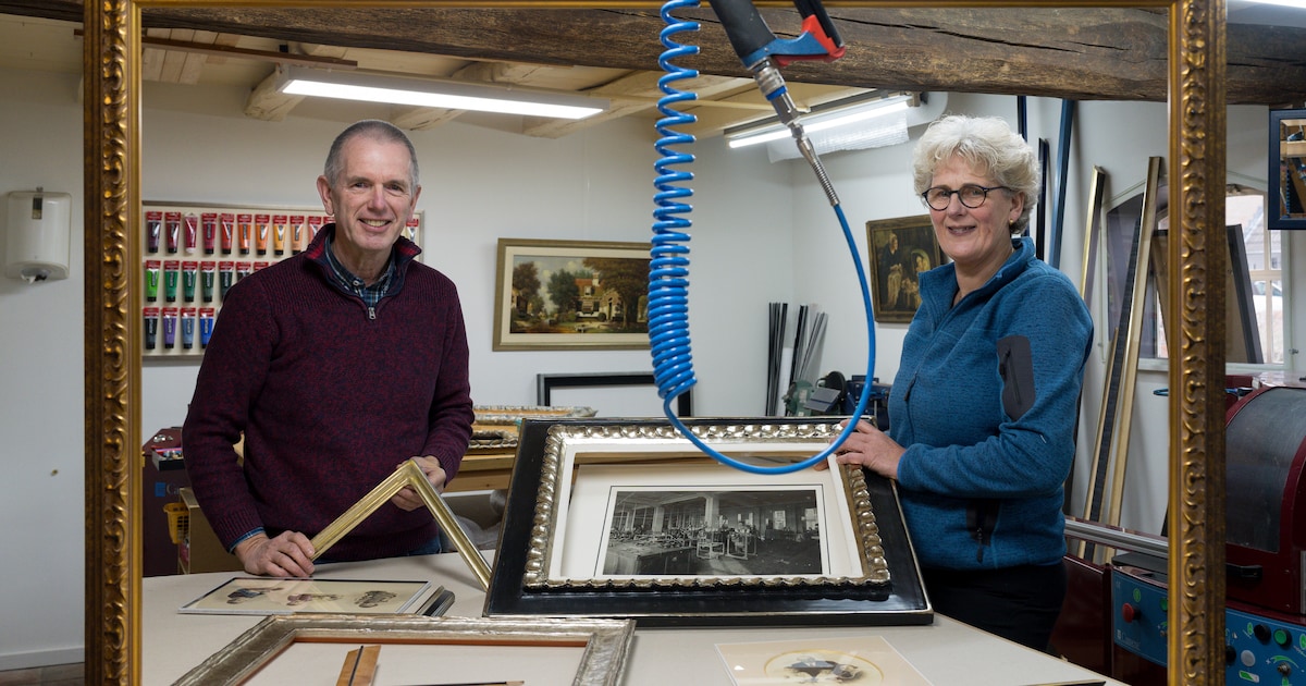 Je kunt het zo gek niet bedenken of de Alkema’s lijsten het in | Meierijstad | BD.nl