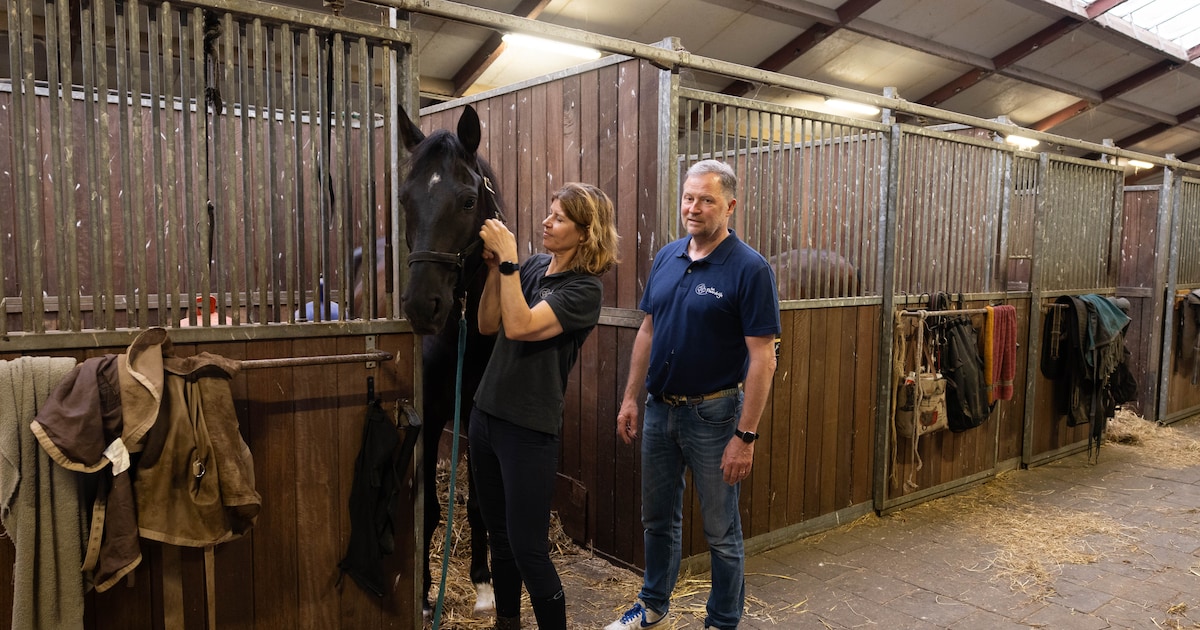 Grapje ‘dan koop je toch gewoon een manege’ wordt werkelijkheid voor ...